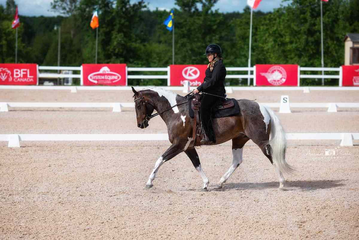 Western Dressage Clinic: 2025 WSDAC Test Requirements – EQUEST DRESSAGE